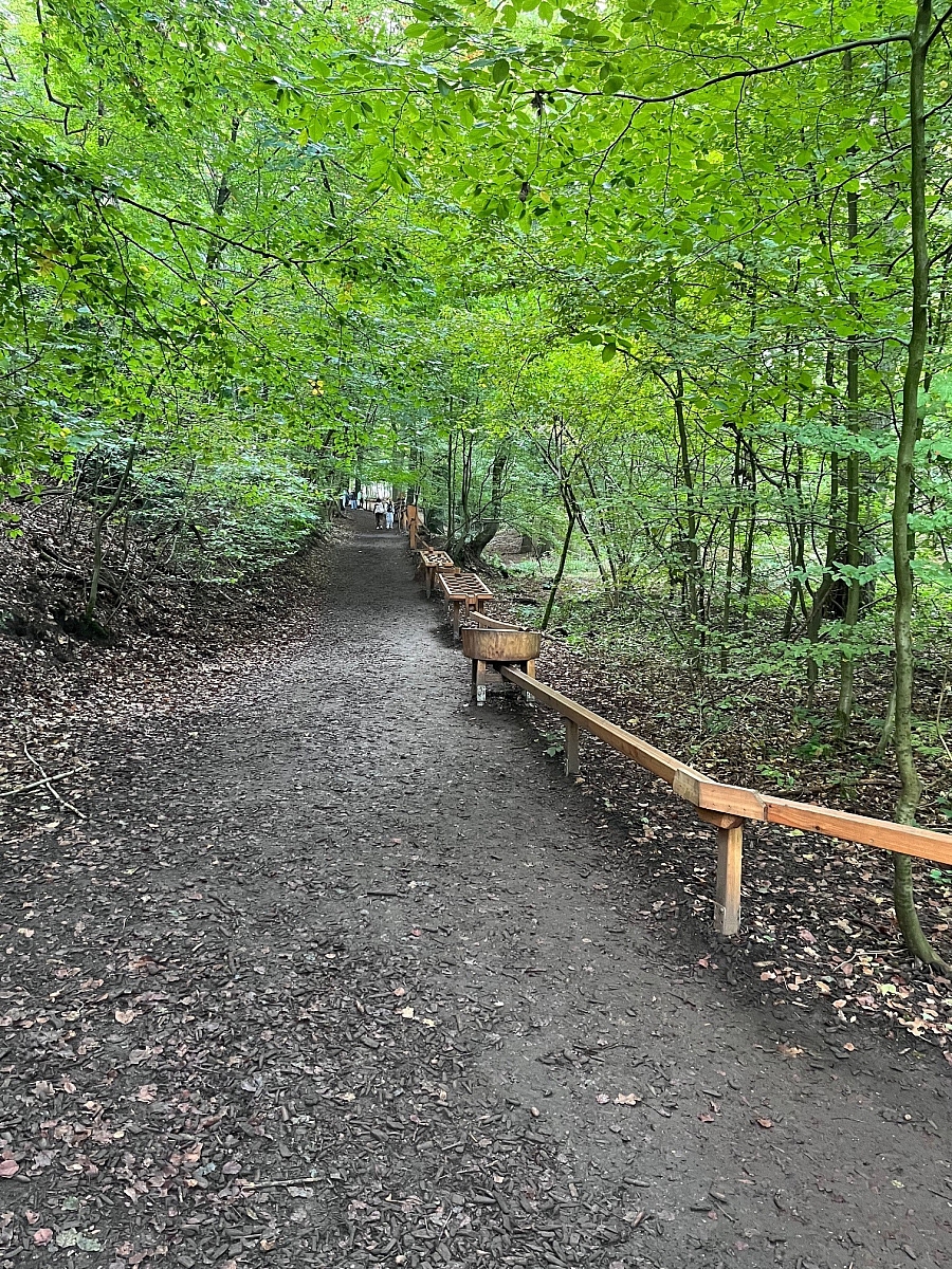 Gemeinde Mettingen - leben und erleben